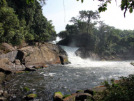 Cameroon | prof. Mgr. Jan Šobotník