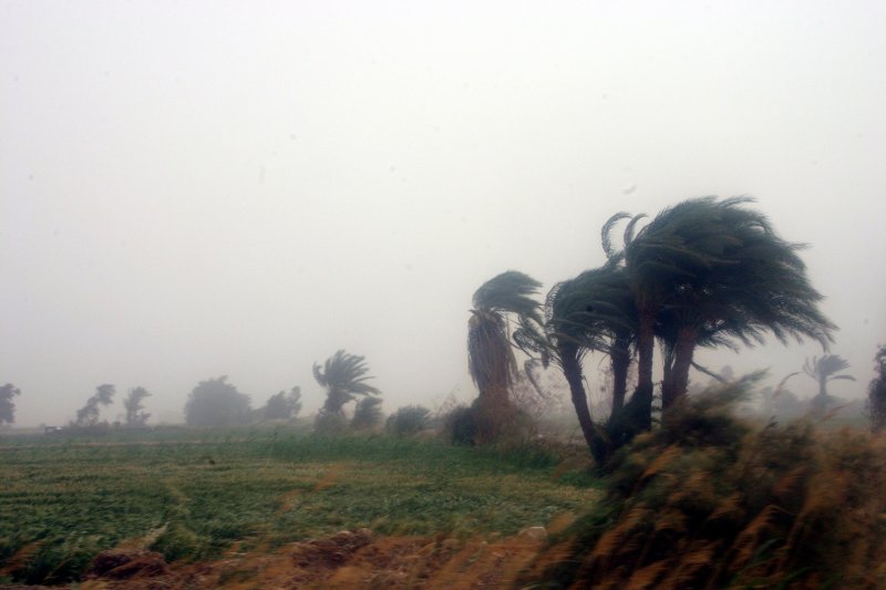 Egypt | prof. Mgr. Jan Šobotník